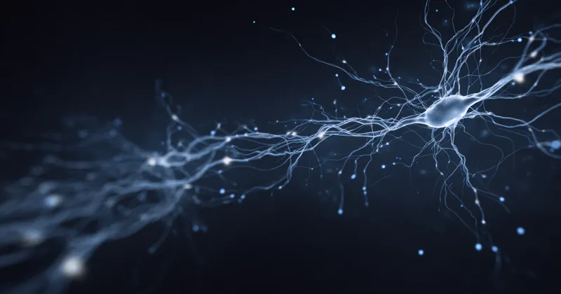 The Psychology of Money Tracking: Why Awareness Changes Behavior ...
